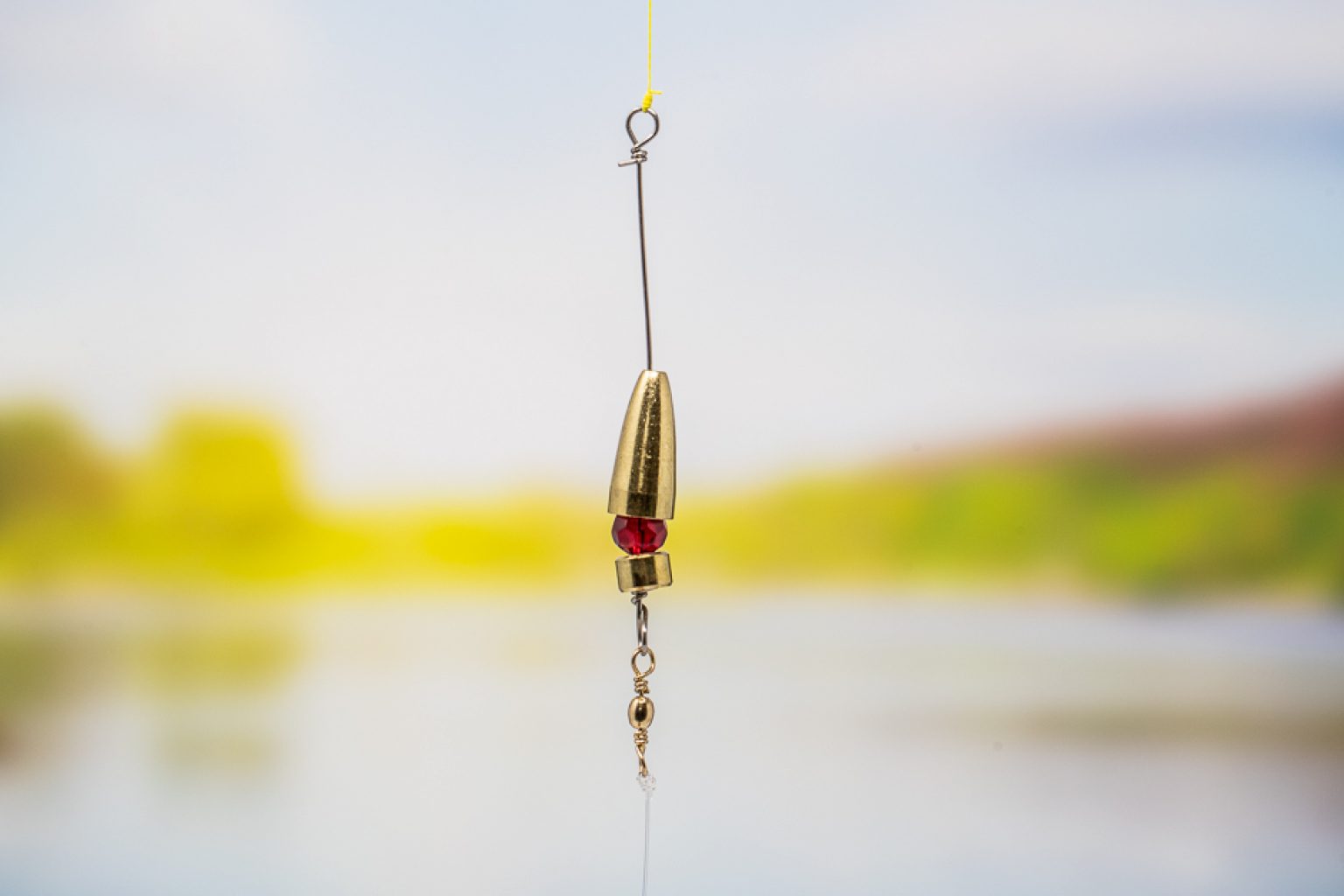 Carolina Rig - FishRook