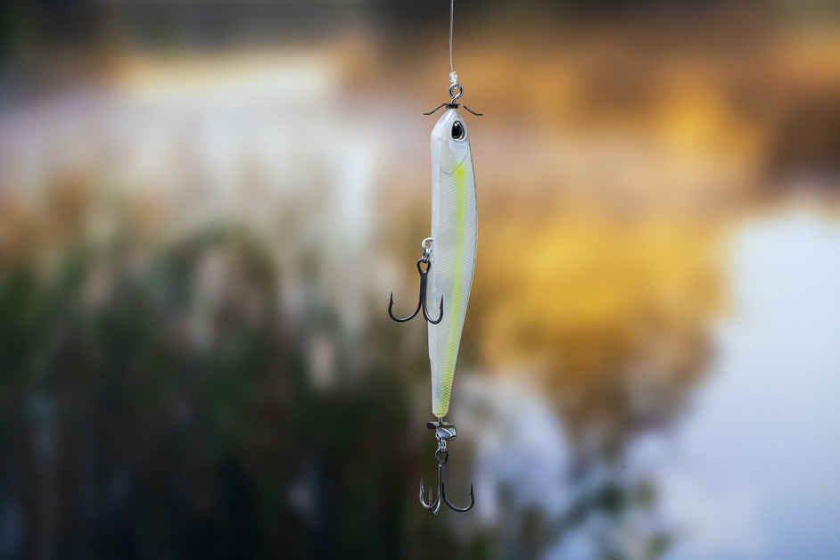 Spy Baits - FishRook