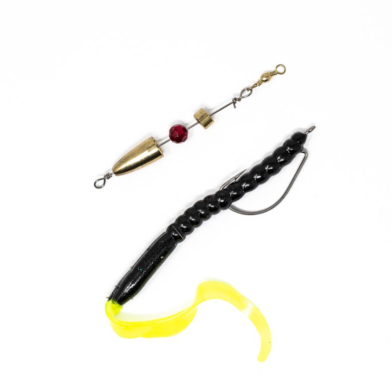 Carolina Rig - FishRook