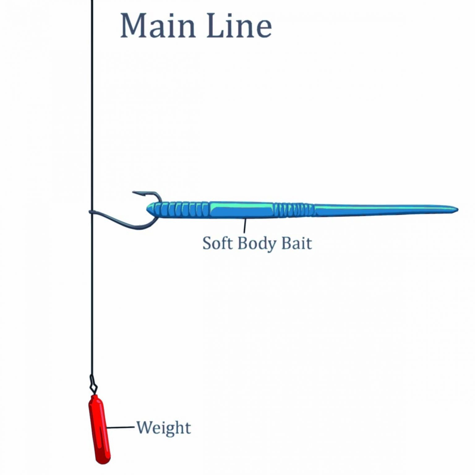 The Ultimate Guide to the Drop Shot Rig for Bass Fishing - FishRook