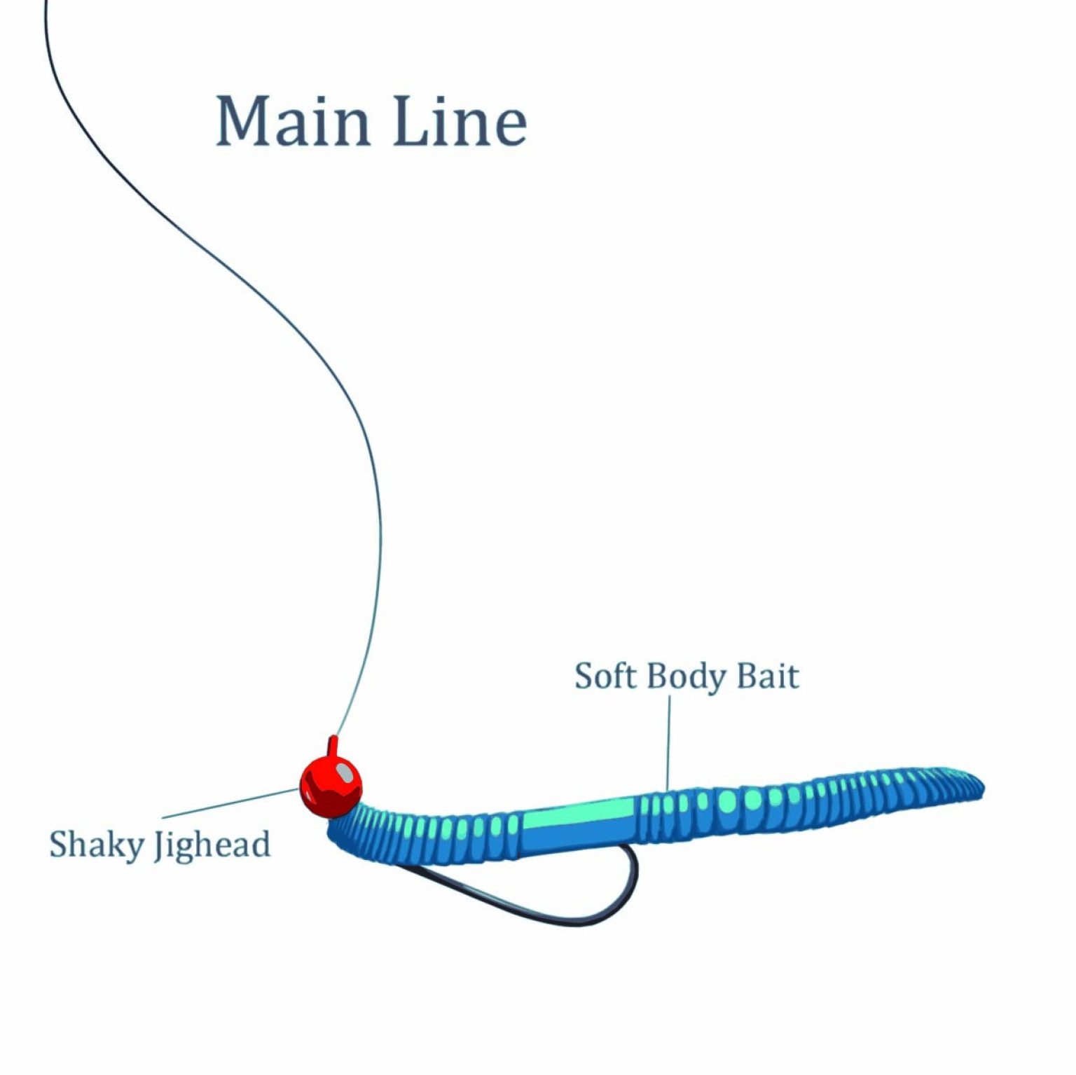 Shaky Head Rig - FishRook