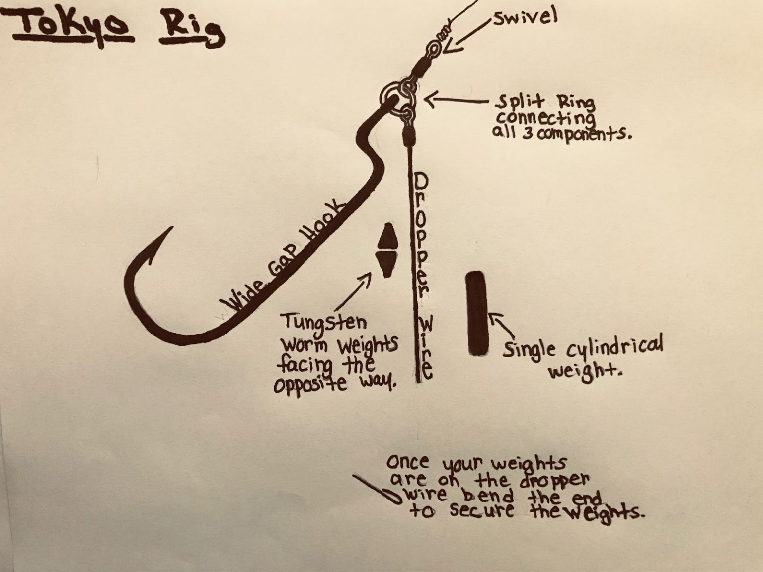Tokyo Rig Guide Beginner for Fishermen - FishRook