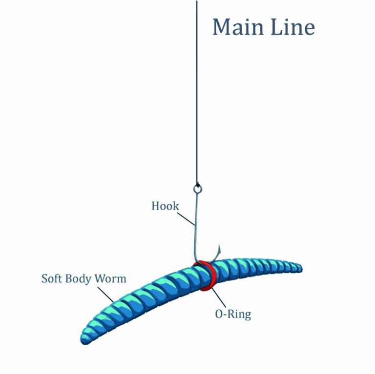 Wacky Rig Fishing Guide for Beginner Fishermen - FishRook