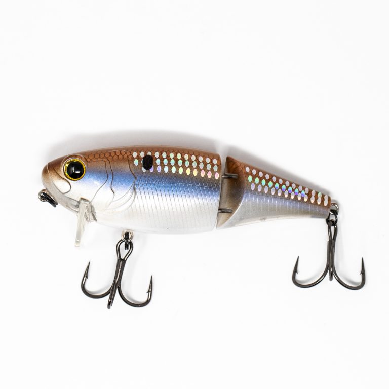 Ultimate Guide to Wake Baits for Bass Fishing - FishRook