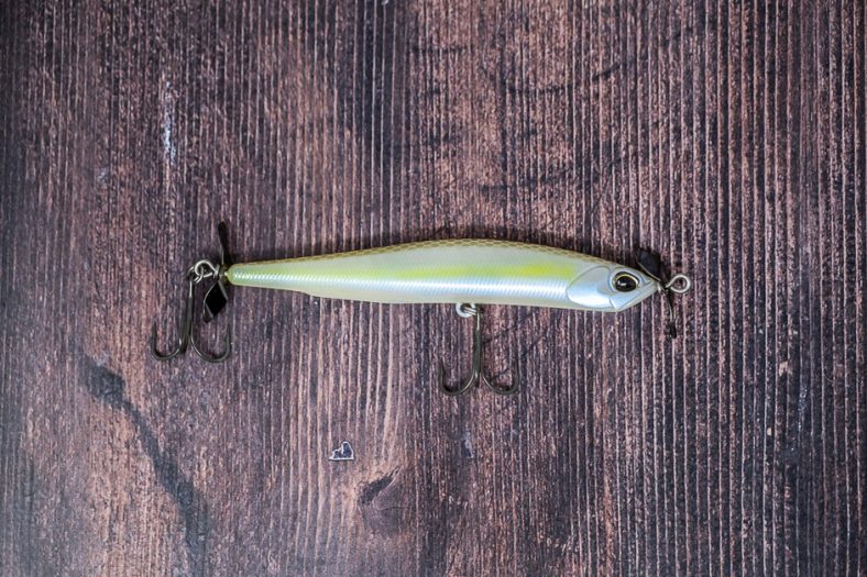 The Ultimate Guide to the Drop Shot Rig for Bass Fishing - FishRook