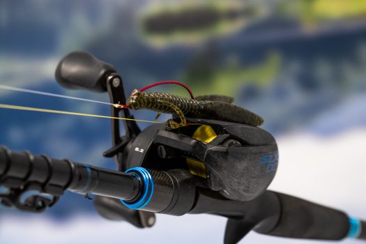 The Ultimate Guide to the Best Creature Baits for Bass Fishing - FishRook