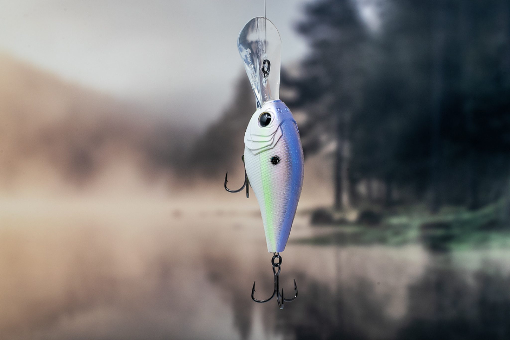 2021 Ultimate Bass Lure Selection Chart - FishRook