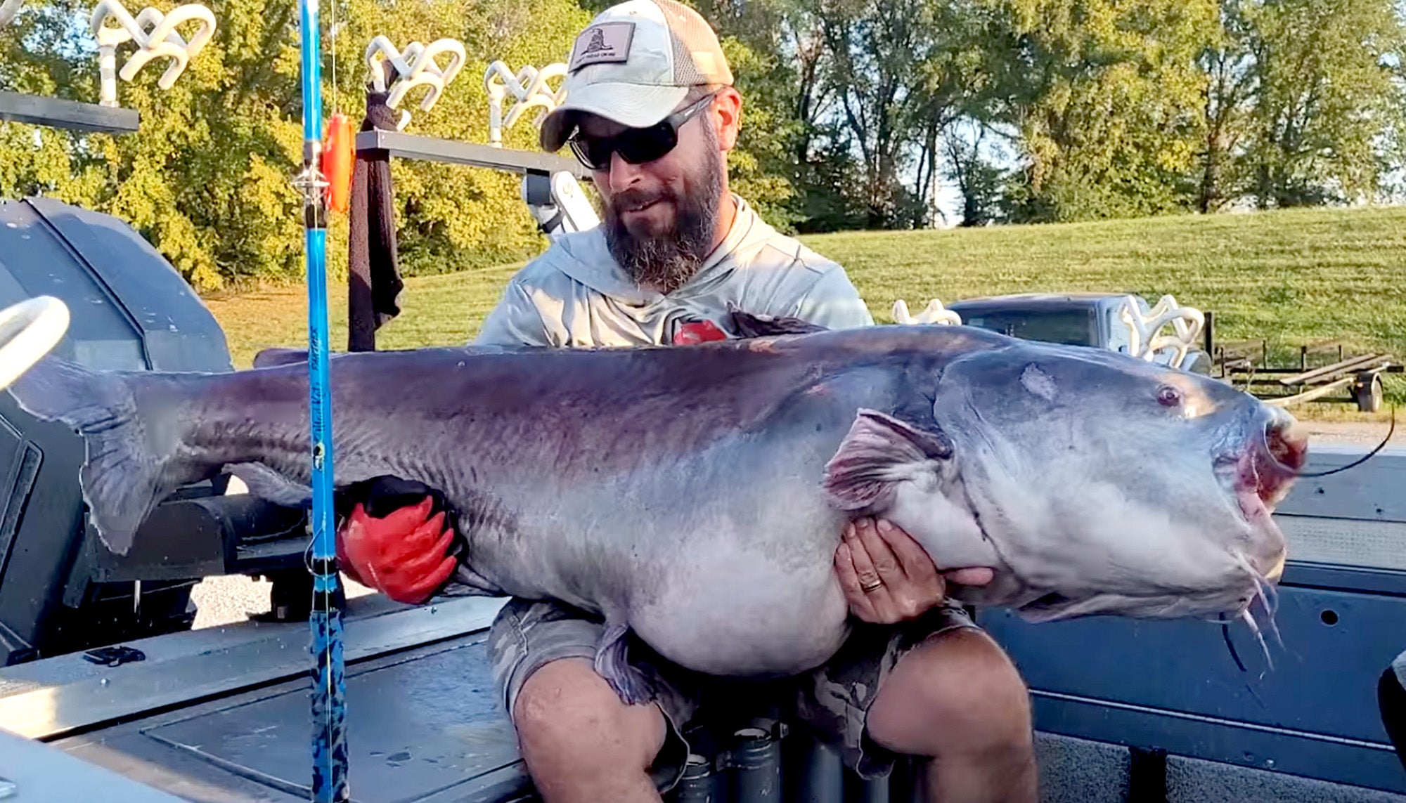 Pending Record Blue Catfish Caught (and Released) in Tennessee - FishRook