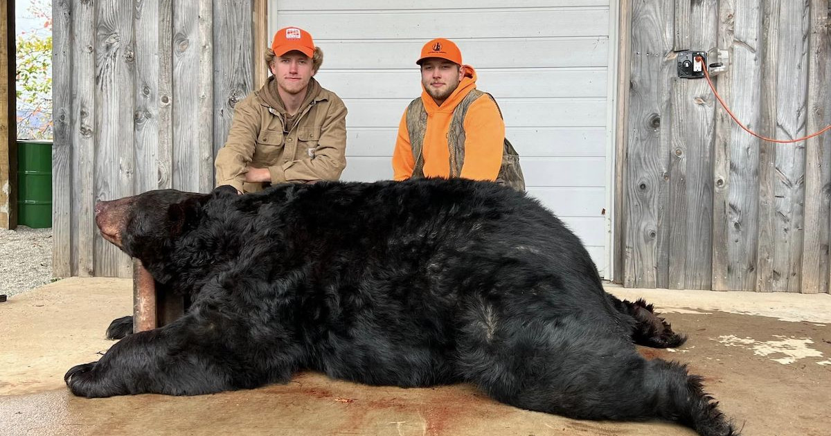 Photos: Hunter Harvests Record-Breaking Black Bear - FishRook