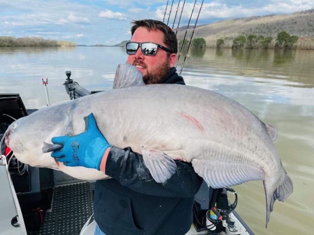 Catfish tournament held at Milford Lake in memory of Kansas angler ...