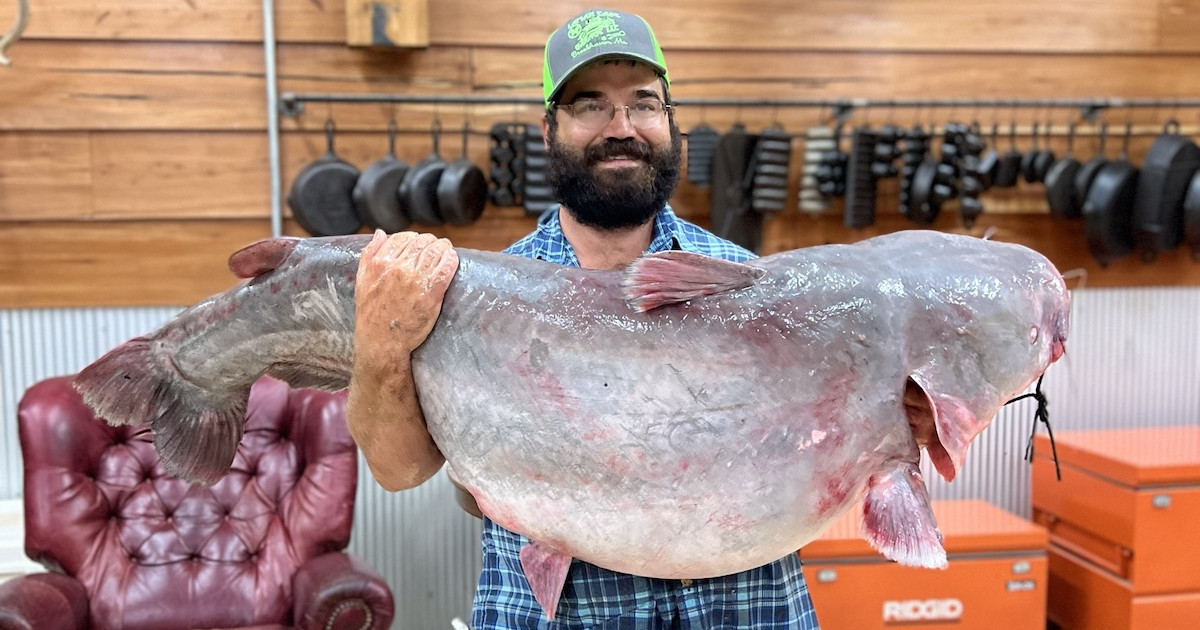 Photos: Mississippi Angler Breaks Record with Monster Catfish - FishRook