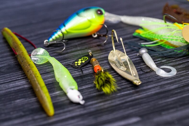 The Ultimate Guide to the Best Spring Bass Lures - FishRook
