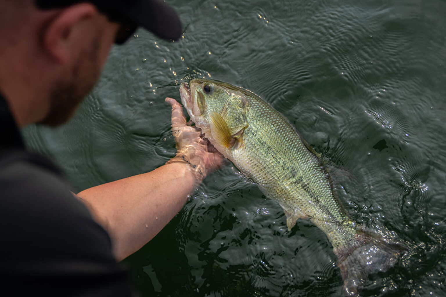 Essential Fishing Tournament Rules You Need to Know - FishRook