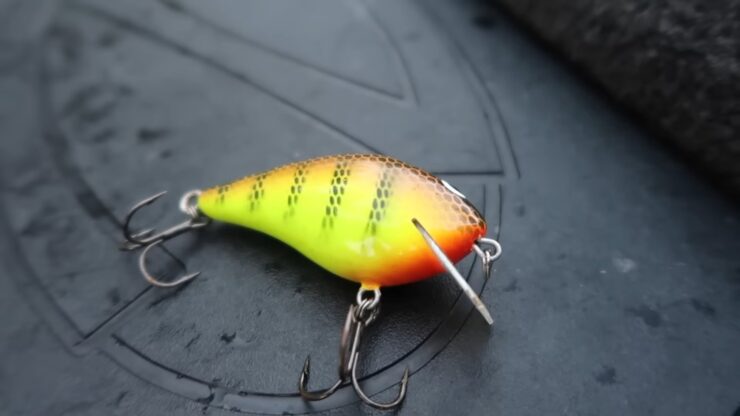 Arizona Angler Lands Record-Breaking Fish: A Story of Persistence ...