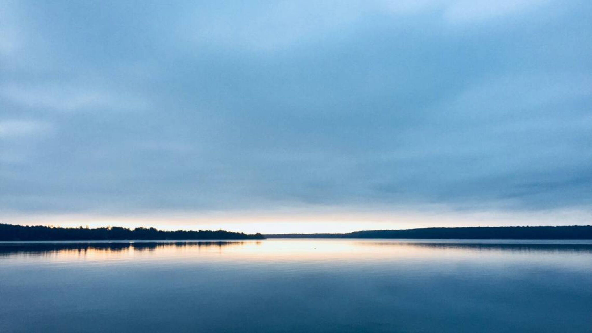 Angler sets Vermont state fishing record with longnose gar - FishRook