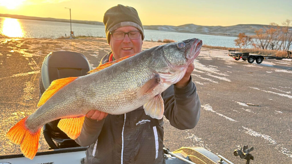 This Walleye Just Broke South Dakota’s 23-Year-Old State Record - FishRook