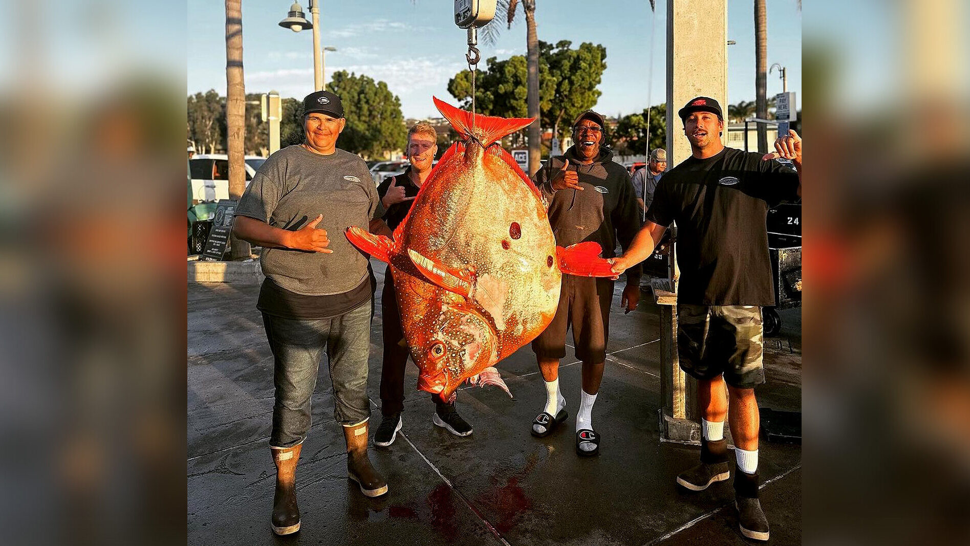 Rookie Angler Catches Likely World-Record Moonfish - FishRook
