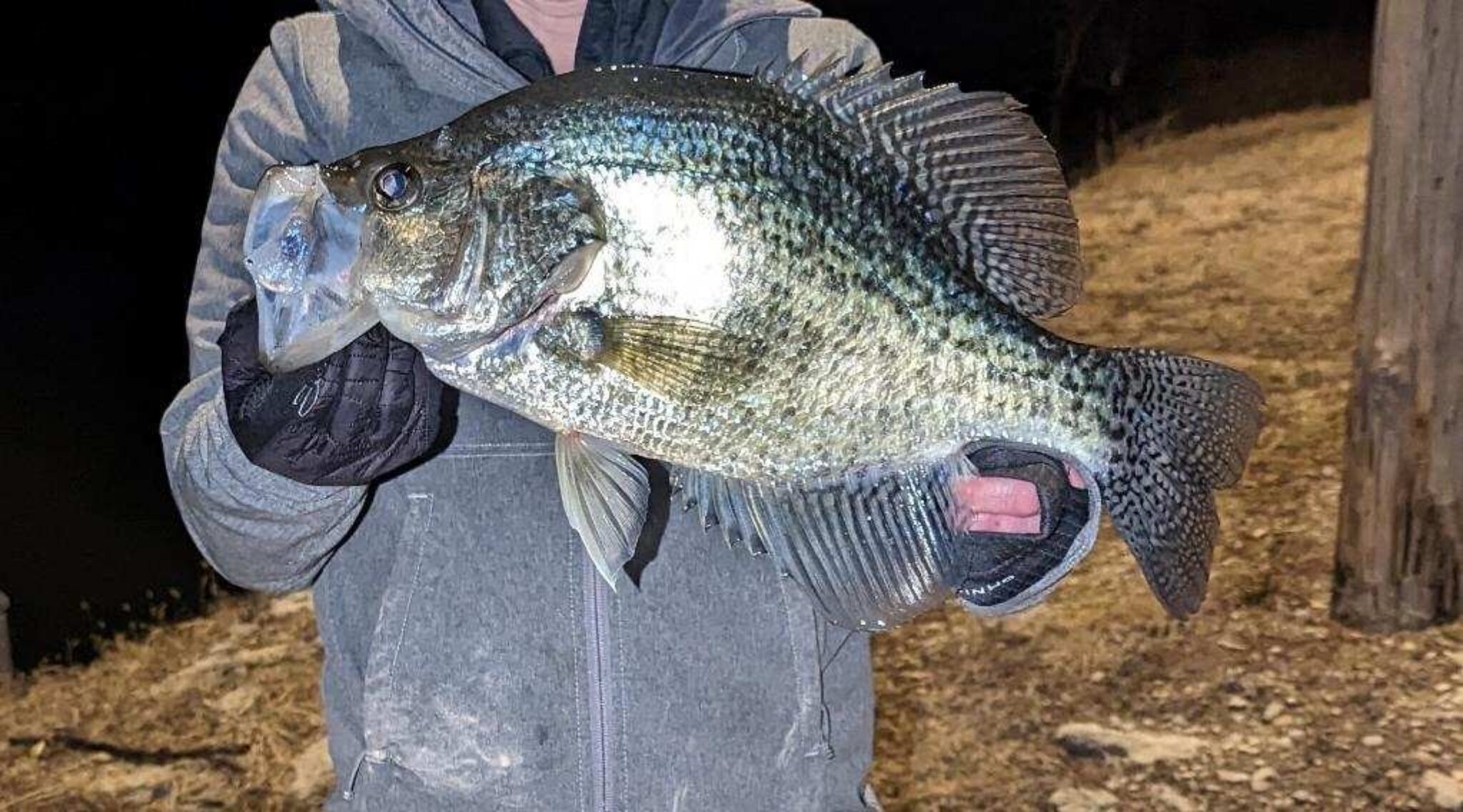 Kansas wildlife officials remove angler's trophy catch of a lifetime ...