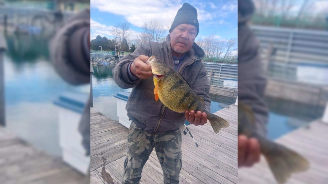 Lake Michigan fisher sets Indiana record with ‘jumbo’ yellow perch ...