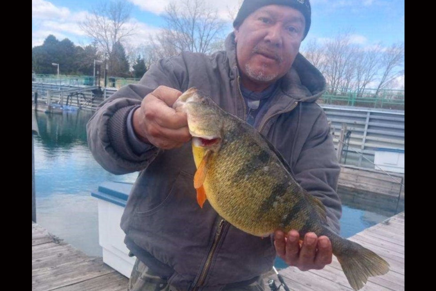 Indiana Angler's Jumbo Perch Breaks 43-Year-Old State Record - FishRook