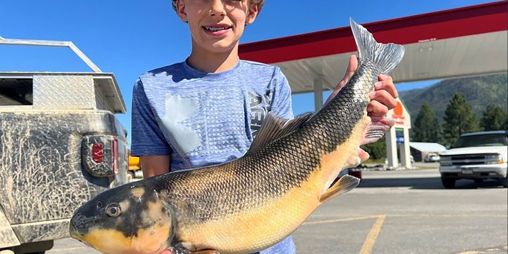 12-year-old catches record-breaking fish in Montana - FishRook
